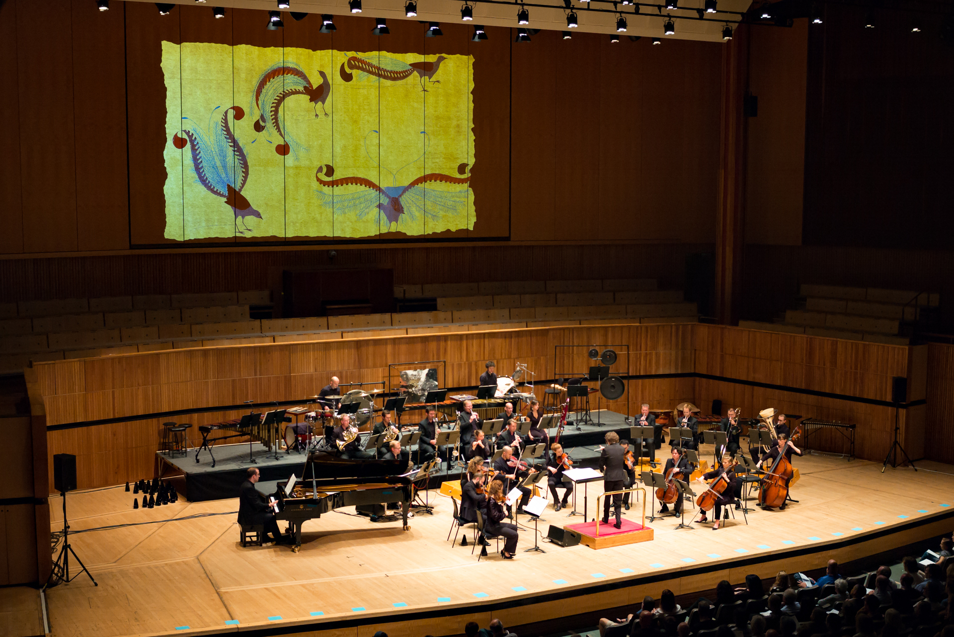 Why Birds Sing. A Remarkable Musical Exploration with the Aurora ...